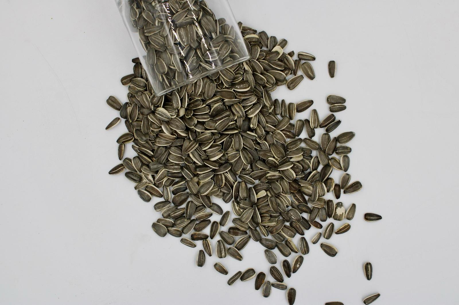 For Buyers | Arjazon Seed Trading Ltd.